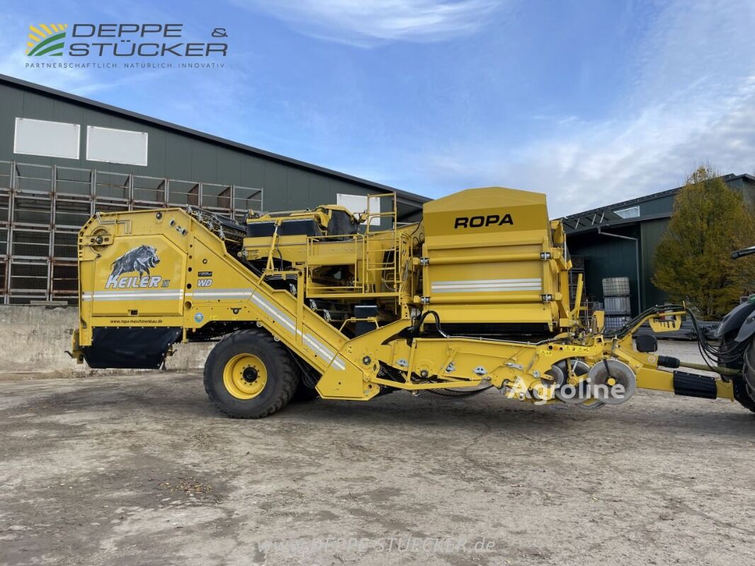 Ropa Keiler II WD+DS 3,0m vadilica za krompir