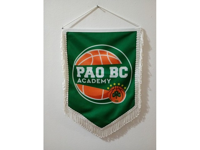 BC PAO Academy 1908