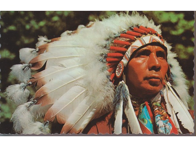 INDIAN CHIEF / kanadska razglednica !!! perfekTTT