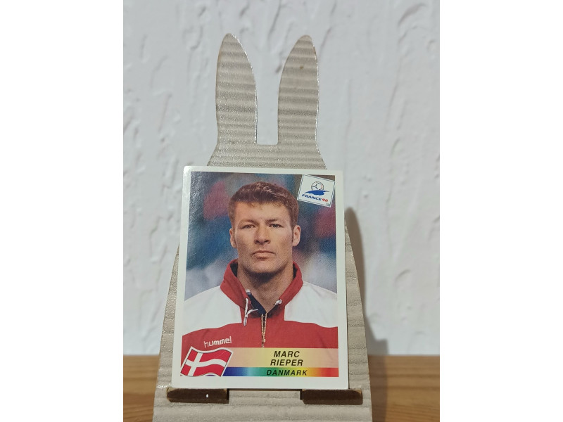 FIFA WORLD CUP FRANCE 98 PANINI SLIČICA BROJ 214