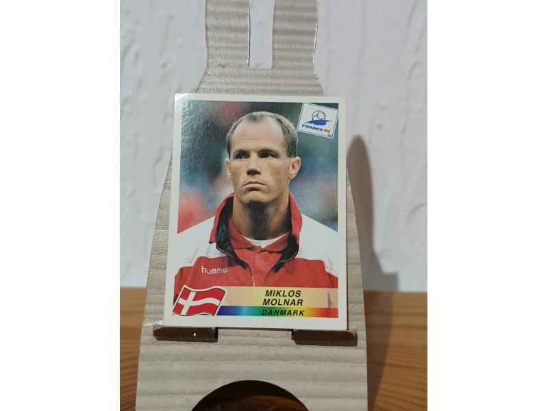 FIFA WORLD CUP FRANCE 98 PANINI SLIČICA BROJ 226