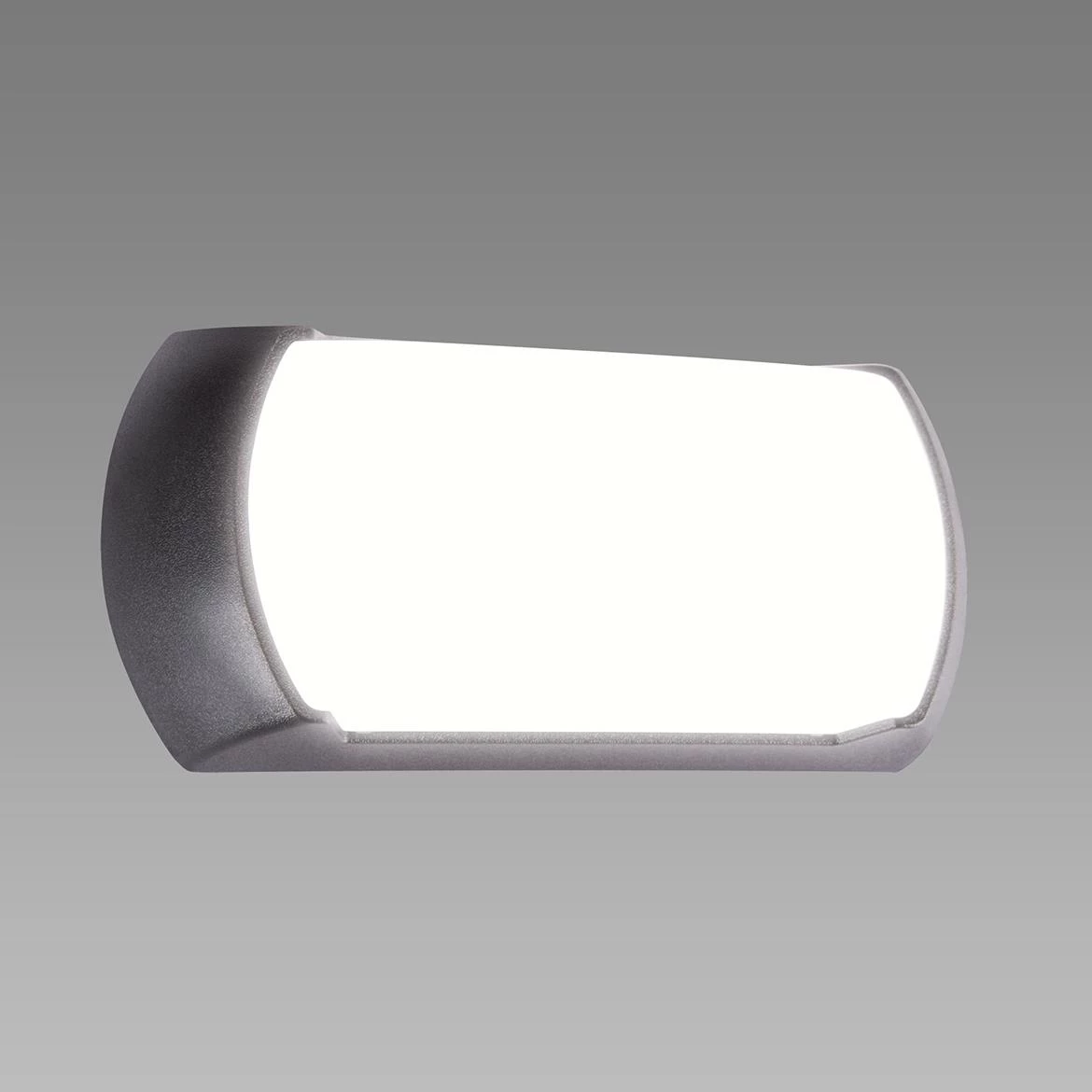 Spoljna zidna lampa Enduro II LED crna