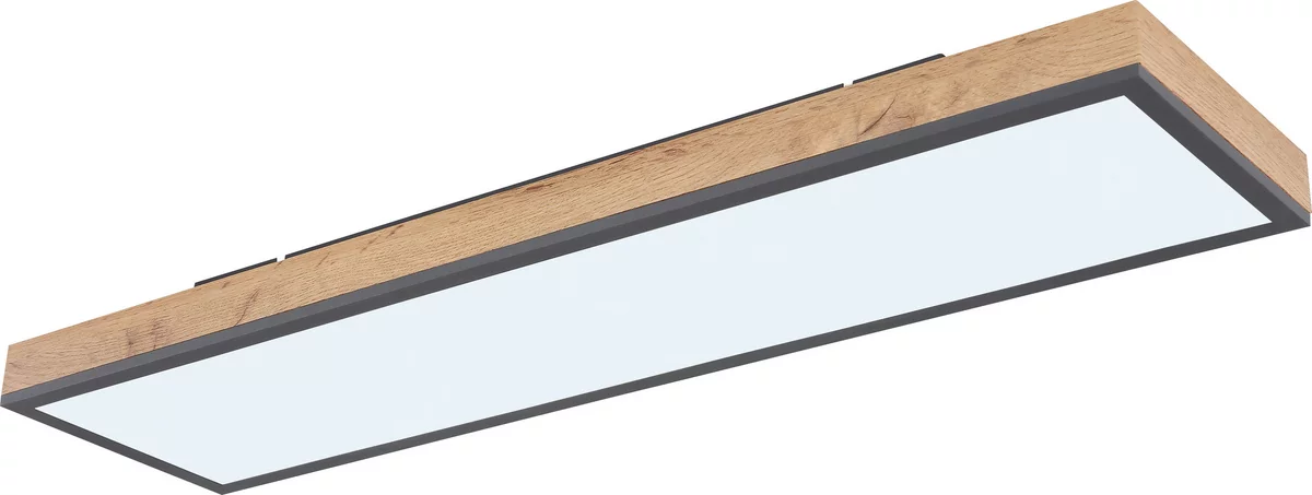 Novel LED PLAFONJERA Ludwig