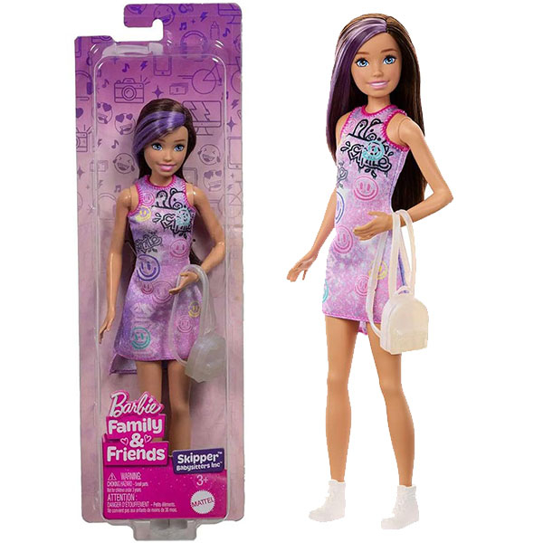 Barbie lutka Family & Friends Skipper 1042950