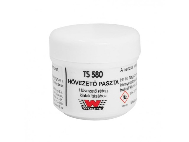 Termo pasta 25g TS580