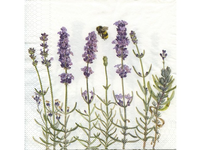 Salveta POV75_41 - 33cm Lavanda ASHDENE