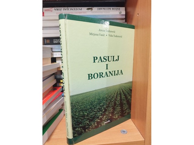 Pasulj i boranija - Jovan Todorović