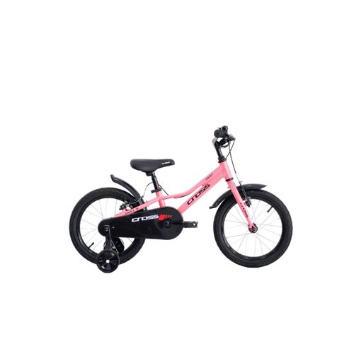 16'' CROSS DAISY 2026 Pink Light