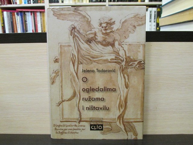 O OGLEDALIMA, RUŽAMA I NIŠTAVILU - Jelena Todorović