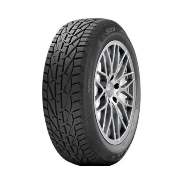 225/45R17 RIKEN SNOW 94V