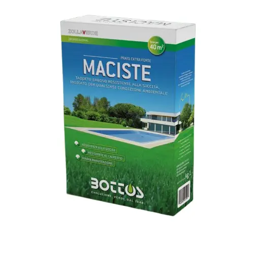 Bottos 1848 Seme trave za sunce Maciste, 40m2, 1 kg