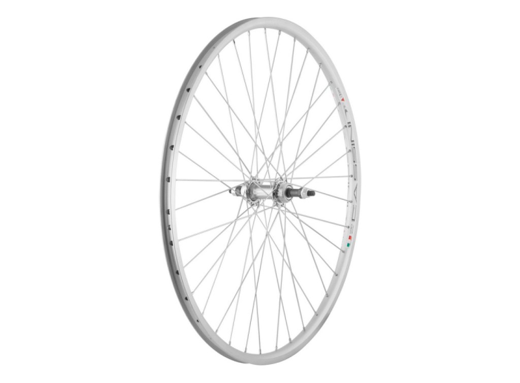 MTB CELICNA GLAVA