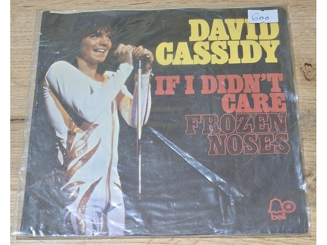 DAVID CASSIDY