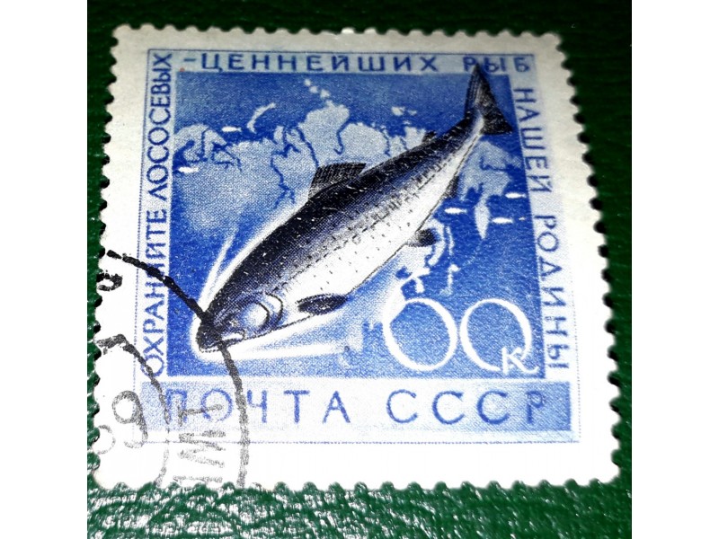 SSSR - fauna