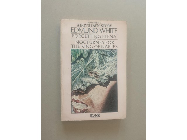 Forgetting Elena - Edmund White