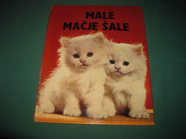 Male mačje šale (RETKO)