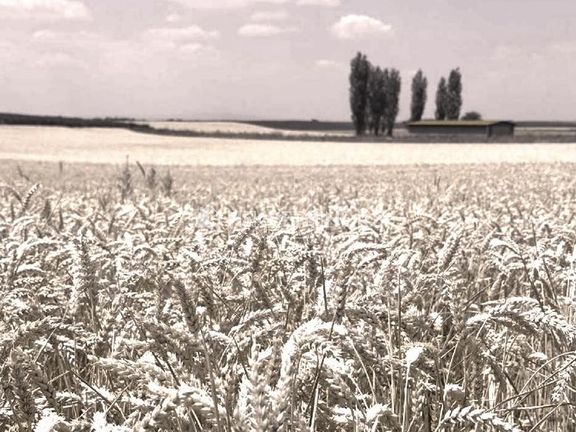 Nezaboravan plac sa pogledom na Dunav ID#4401
