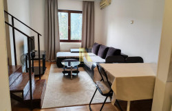 CENTAR DUNAVSKA - DVOIPOSOBAN STAN 54m2 - PET FRIENDLY