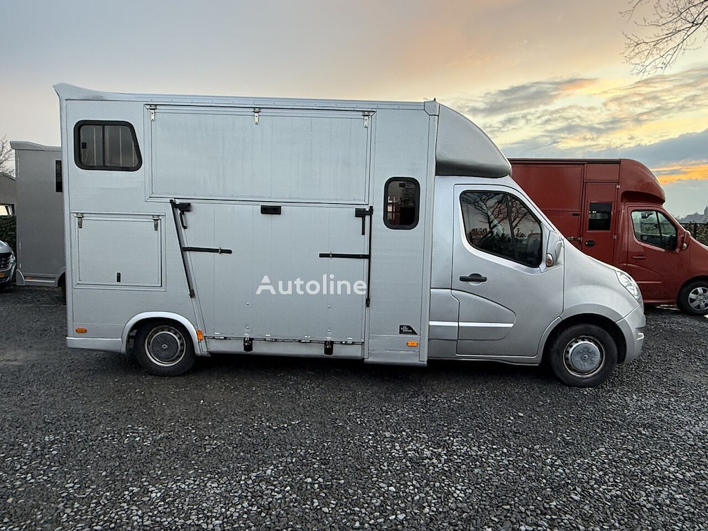 Renault Master PAARDENWAGEN | HORSETRUCK | MVV | CLASSIC 5 vozilo za prevoz konja