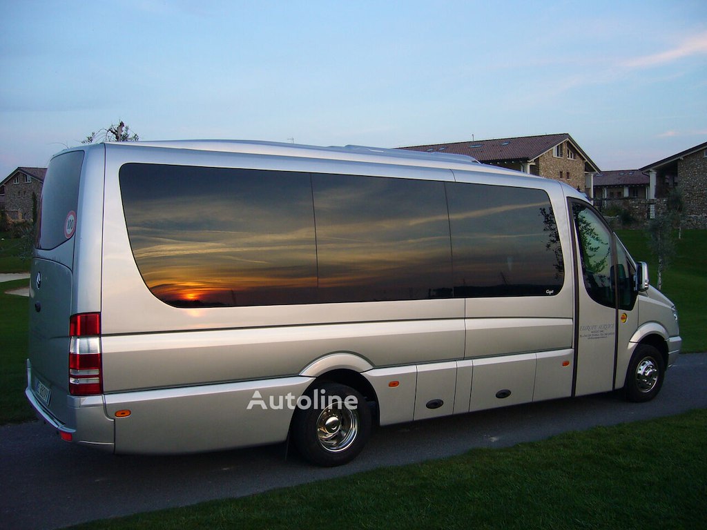 Mercedes-Benz Sprinter 519 putnički minibus