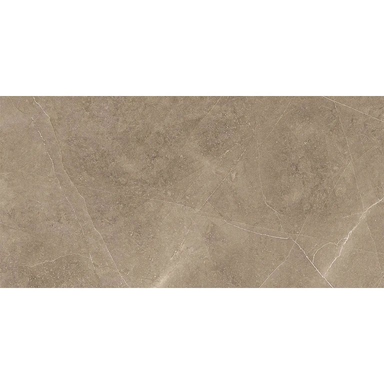 Elegant Taupe 30X60