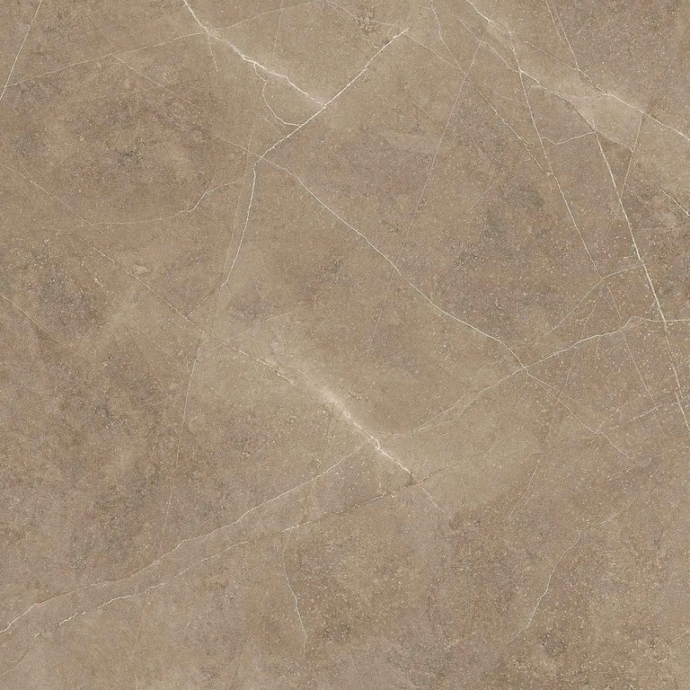 Elegant Taupe 60X60