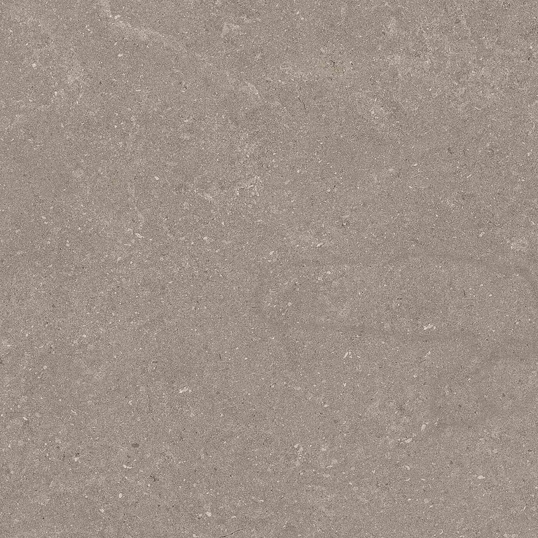 Natural Taupe 60X60
