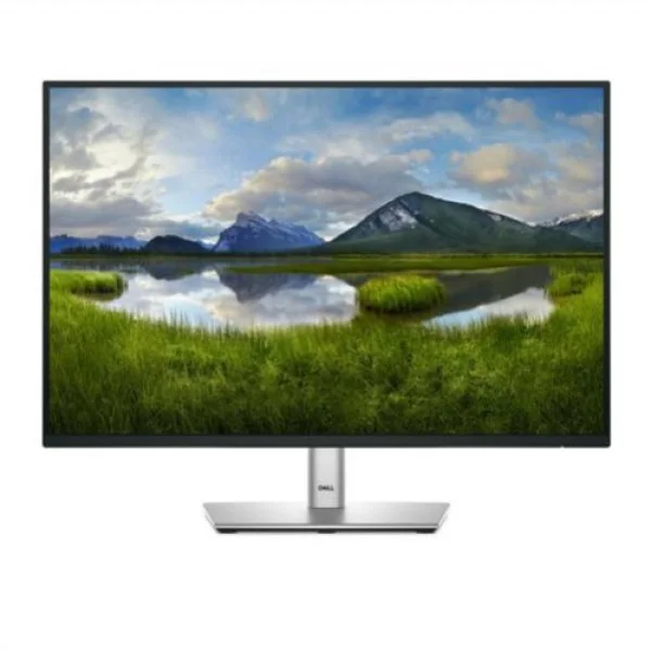 DELL 24 inch P2425E 100Hz USB-C Professional IPS monitor