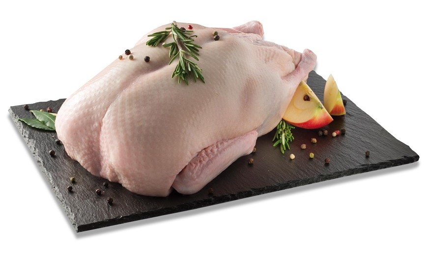 Tranzit Food-Dub.Zam.Pačiji gril bez iznutrice A klasa
