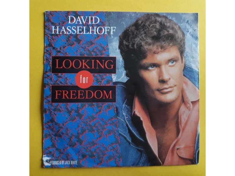 DAVID HASSELHOFF - LOOKING FOR FREEDOM ***** 1988