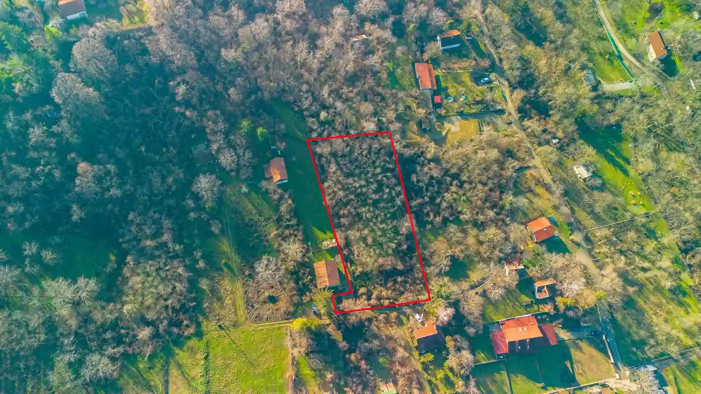 Popovica, Sremska Kamenica, Grigovački put