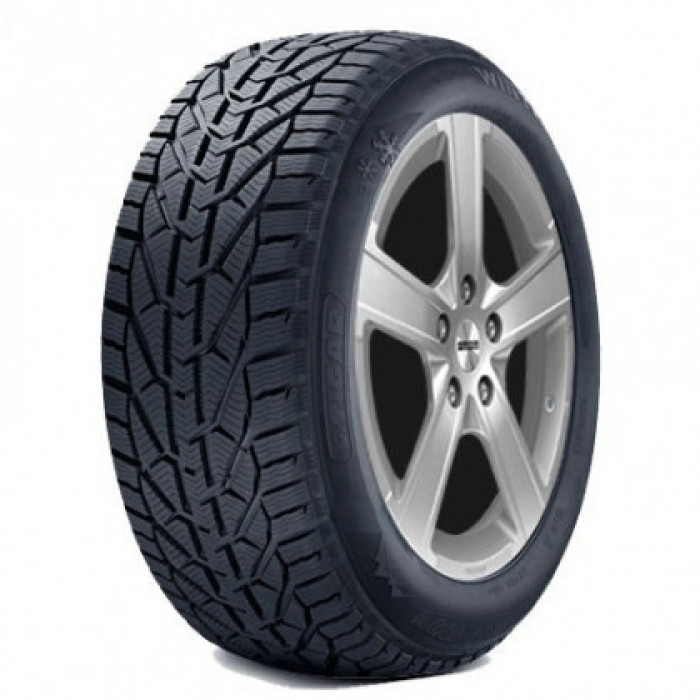 225/45R18 95V WINTER