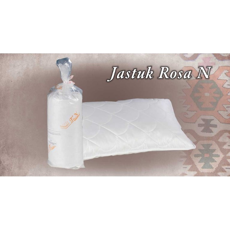 Jastuk Rosa N 70×50 cm