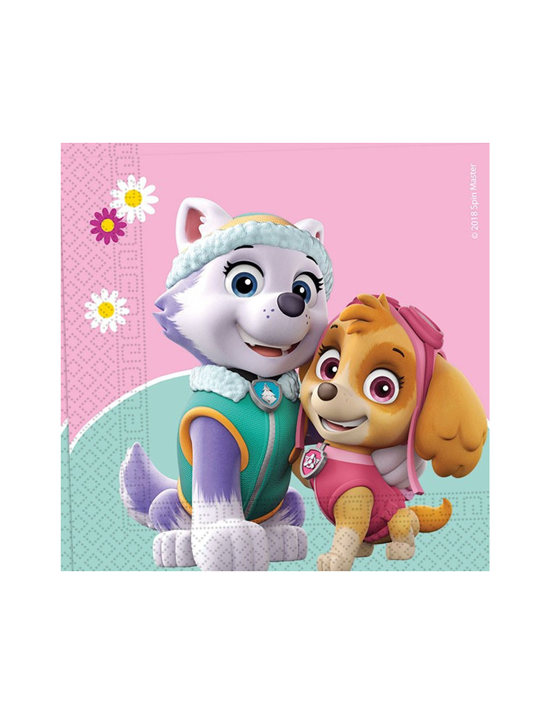 Paw patrol pink salvete