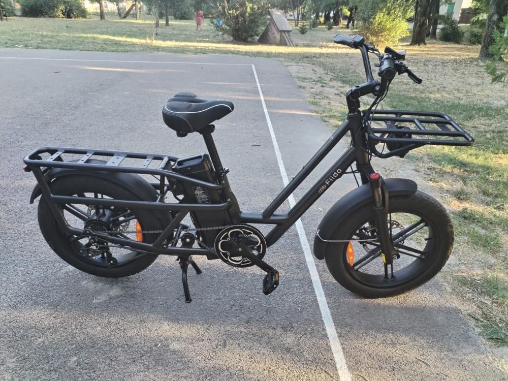 Fiido elektricni bicikl