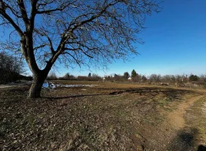 Prodaja Građevinsko zemljište - Inđija