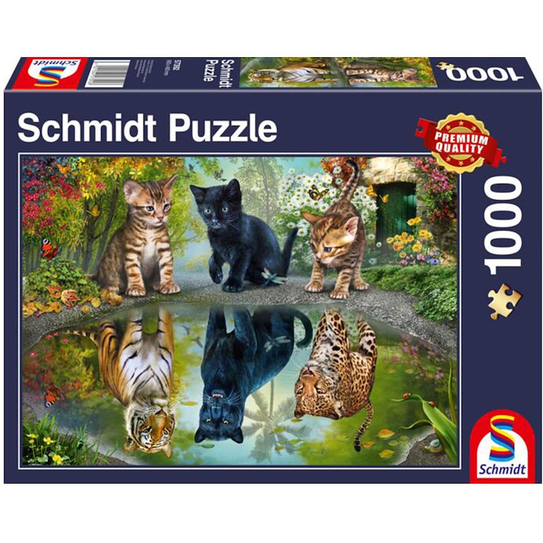 Schmidt puzzle 1000 pcs Dream Big 57392