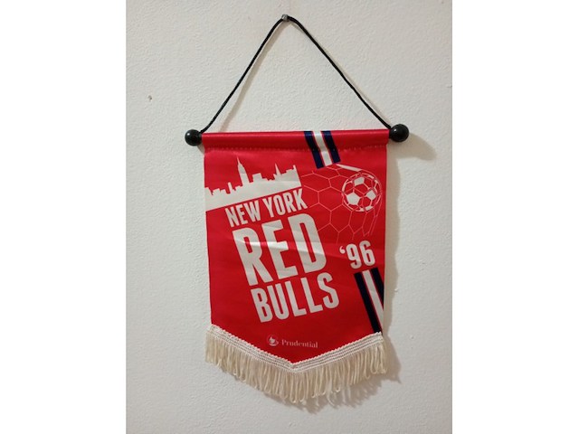 New York Red Bulls 96