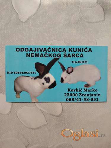 Hajkom kunići