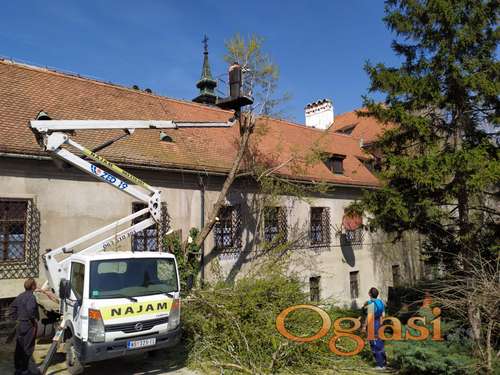 Seča stabala, obaranje stabala, orezivanje stabala, skraćivanje stabala, orezivanje krošnje, seca grana, kamionska korpa dizalica ili penjaci