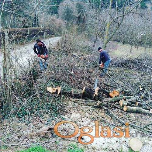 Beograd, Novi Sad i po celoj Srbiji, krčenje korova, obaranje stabala i kosenje