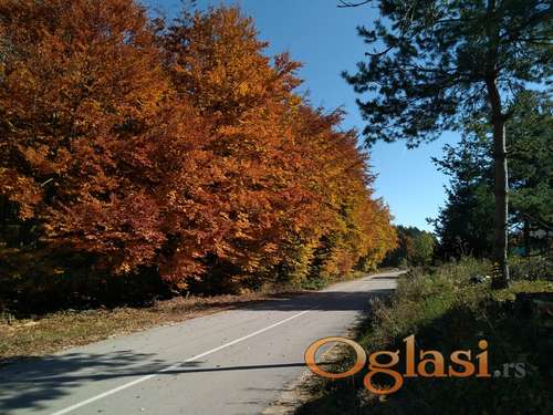 Prodajem parcelu~Varda(Kosjeric) zapadna Srbija