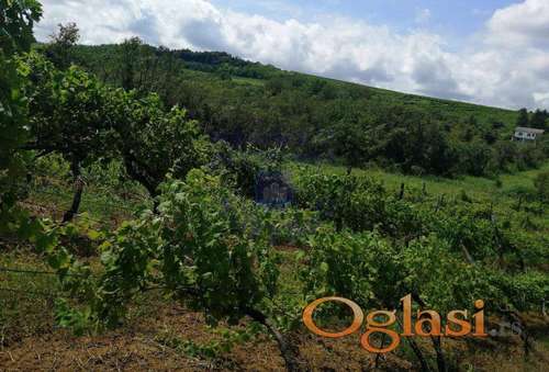 Odlican plac u Banostoru 7931m2