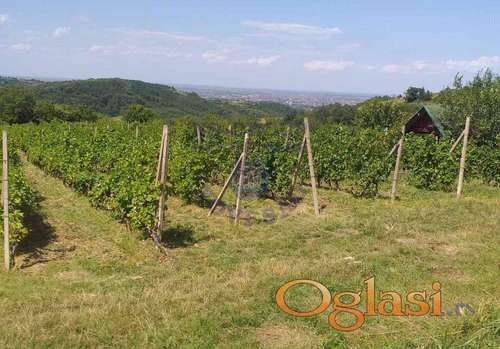 516149-Plac-7990m2-Ledinci