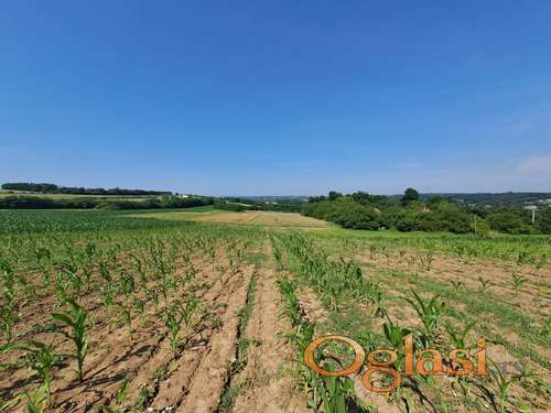 Poljoprivredno zemljište na prodaju, Dučina