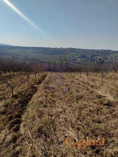 Odlican plac u Sremskim Karlovcima