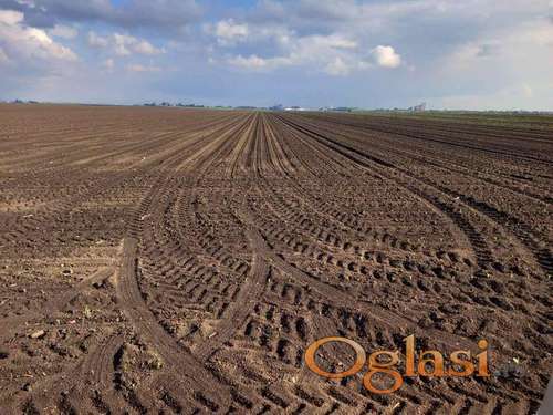 Plodno poljoprivredno zemljište u Indjiji