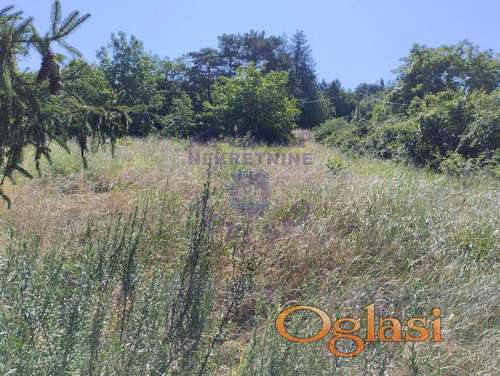 553244-Plac-1851m2-Sremska Kamenica