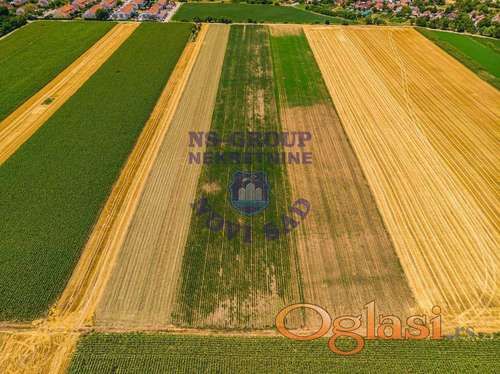 Fantastičan poljoprivredni plac u gradjevinskom području!