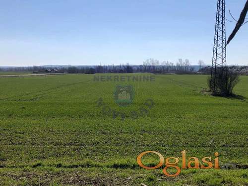 Plac 11766m2 Bačka Palanka